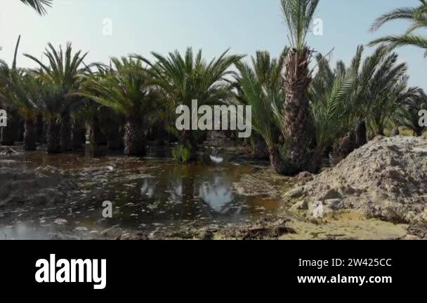 Aerial drone point view aftermath of heavy rain, flooded fields, dead ...