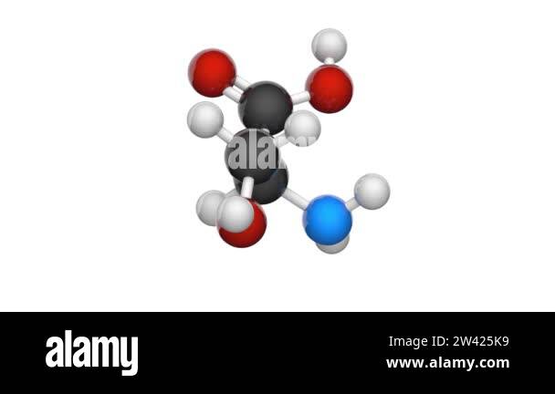 Serine (symbol Ser or S)is an amino acid that is used in the ...