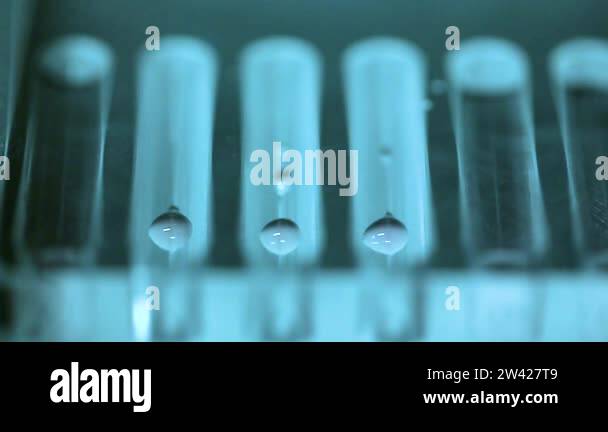 Samples tubes and a functioning automated machine in a laboratory. The ...