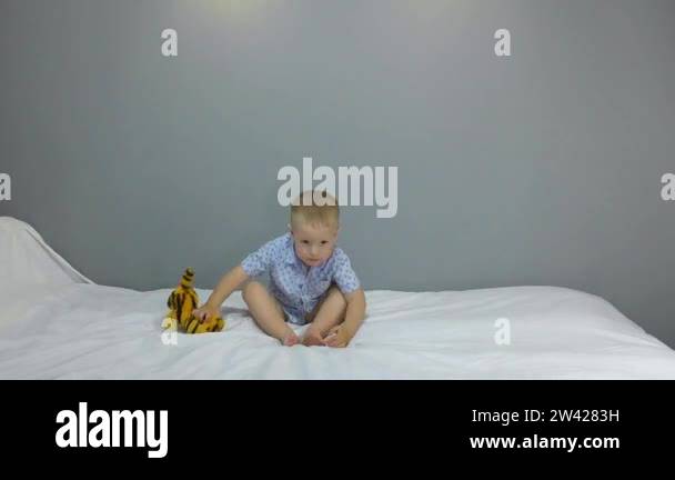 Child tiger Stock Videos & Footage - HD and 4K Video Clips - Alamy