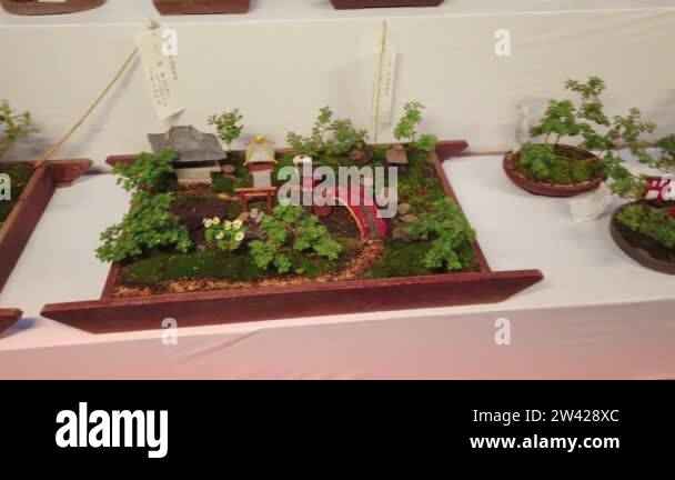 shibuya, japan - november 02 2020: Video of the exhibition of Japanese ...