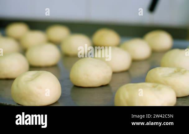 cooking. bakery products. close-up. blanks of raw yeast dough for buns ...