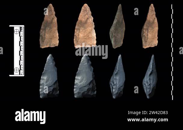 Paleolithic artifacts animation 3d model animation Stock Video Footage ...