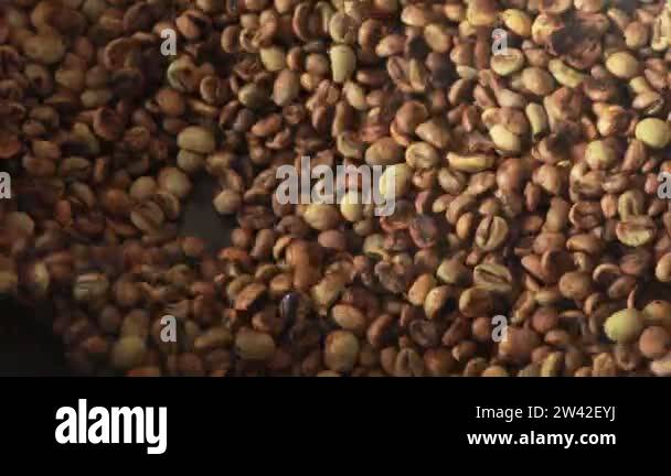 Robusta coffee Stock Videos & Footage - HD and 4K Video Clips - Alamy