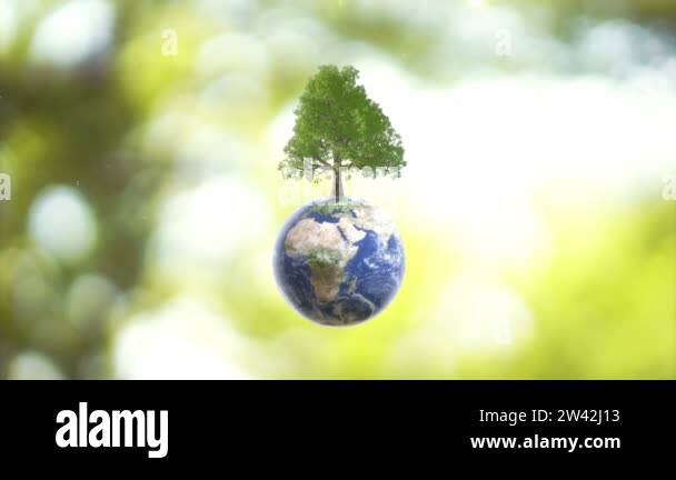 Green blurred circle bio Stock Videos & Footage - HD and 4K Video Clips - Alamy