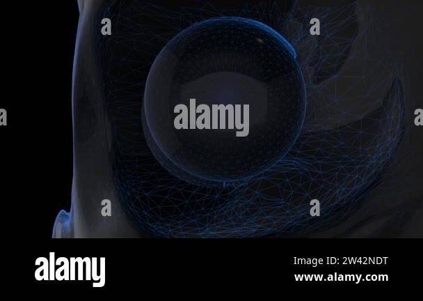 Anatomy of the eye. 3D animation. with matte Stock Video Footage - Alamy