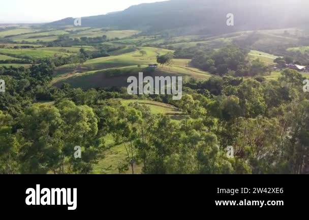 Sunrise view of rural life in the countryside. Trees scene.Sunrise view ...