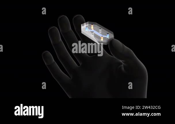 An organ-on-a-chip (OOC) is a multi-channel 3-D microfluidic cell ...