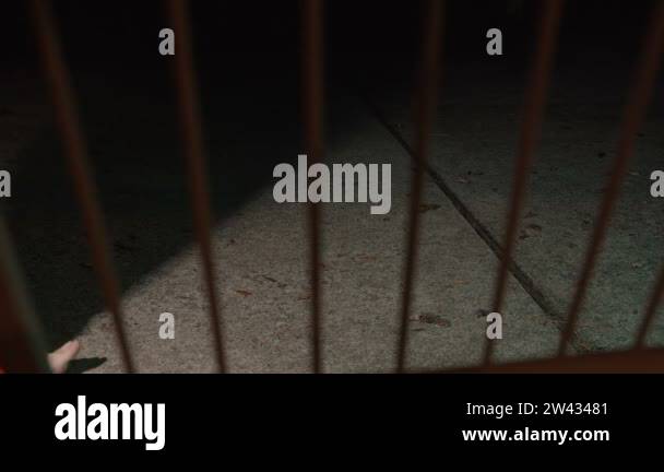 Prison weapon Stock Videos & Footage - HD and 4K Video Clips - Alamy