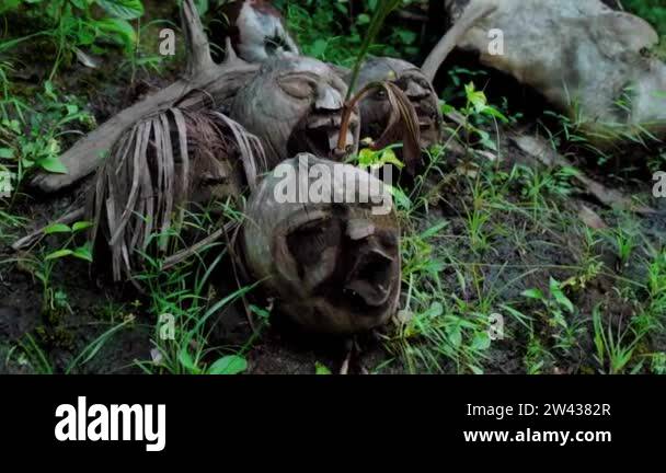 Coconut faces Stock Videos & Footage - HD and 4K Video Clips - Alamy
