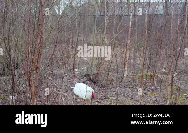 A grove of thin trees, all polluted with garbage, plastic bottles, the ...