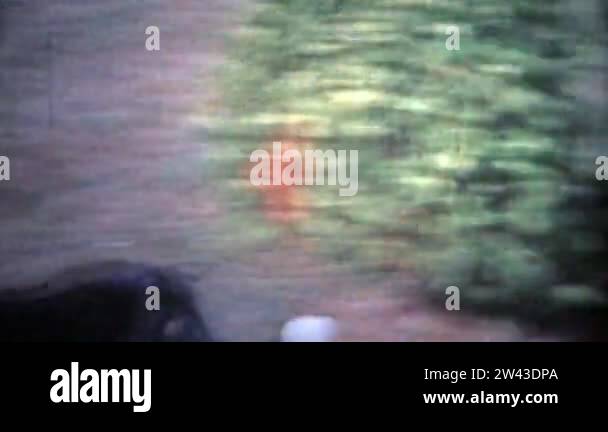 Chasing children Stock Videos & Footage - HD and 4K Video Clips - Alamy