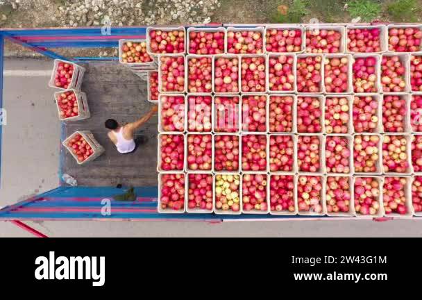 Loading fruits Stock Videos & Footage - HD and 4K Video Clips - Alamy