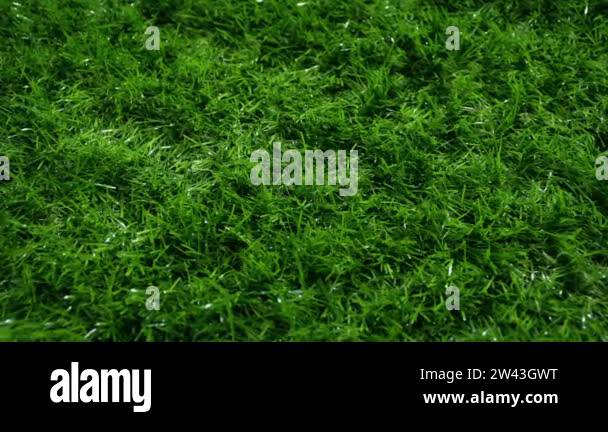 Golf pitch shot Stock Videos & Footage - HD and 4K Video Clips - Alamy