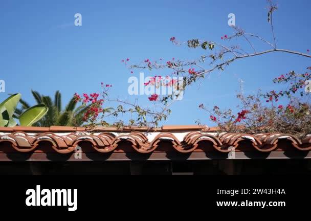 Mexican colonial style suburban, hispanic house exterior, green lush ...
