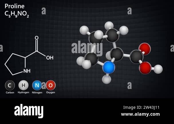 Proline pro amino acid molecular Stock Videos & Footage - HD and 4K ...