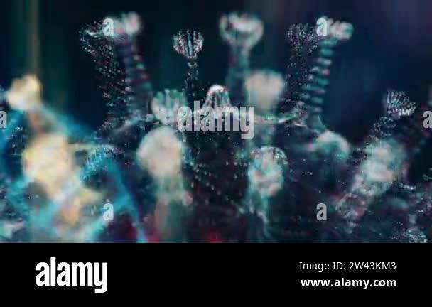 Animated 3d model of coronavirus 2019-nCoV pathogen cells inside ...