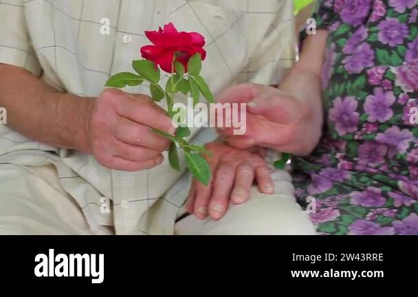 Grandma rose Stock Videos & Footage - HD and 4K Video Clips - Alamy
