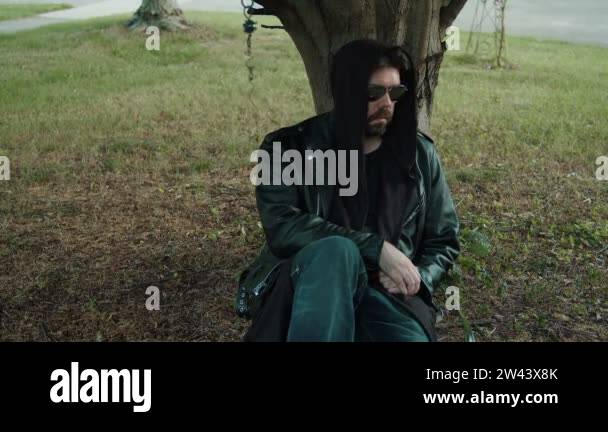 Punk tree Stock Videos & Footage - HD and 4K Video Clips - Alamy