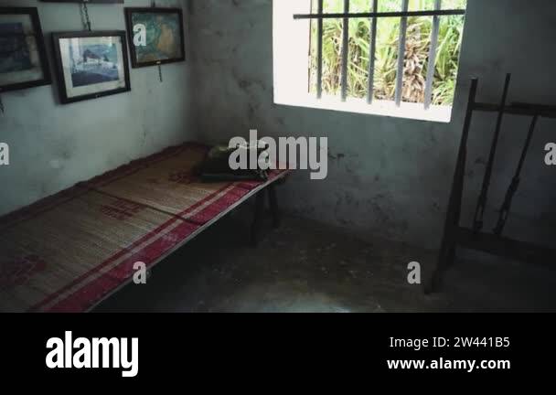 Cat prison cell Stock Videos & Footage - HD and 4K Video Clips - Alamy