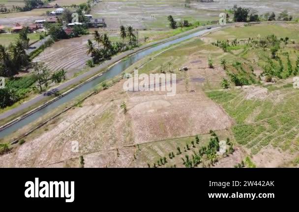 Irrigation channel rice field in Stock Videos & Footage - HD and 4K ...