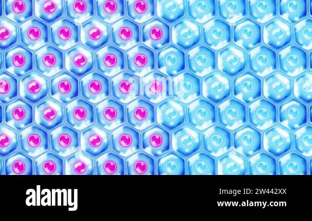 Human skin cells. Each cell with membrane. Cellular therapy. Disease ...