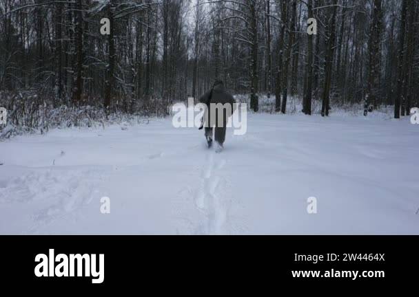 A sniper shoots a Tiger carbine in winter. Shooting at a target through ...