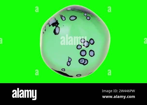 Loop 3d animation. A drop, a sphere of liquid, water in zero gravity ...