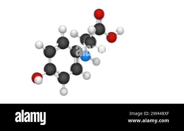 L-Tyrosine or tyrosine (symbol Tyr or Y) is an amino acid that is used ...