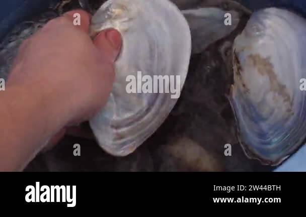 Wash in the basin Stock Videos & Footage - HD and 4K Video Clips - Alamy