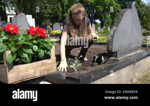 sad woman plant flowers on father brother grave in cemetery. 4K Stock ...