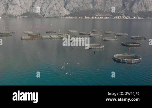 Shell fish traps Stock Videos & Footage - HD and 4K Video Clips - Alamy