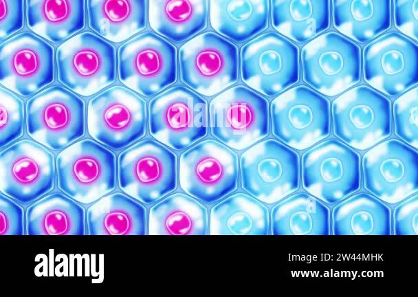 Human skin cells. Each cell with membrane. Cellular therapy. Disease ...