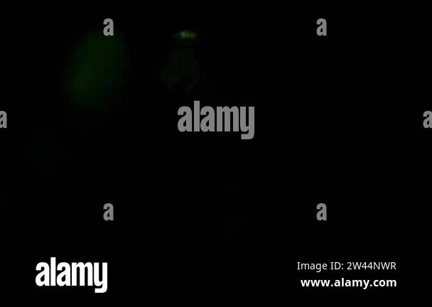 Effects bright bokeh, colorful, spectral glass overlay light leaks ...