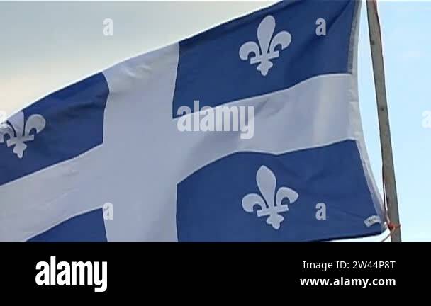 Fleur de lis silhouette Stock Videos & Footage - HD and 4K Video Clips ...