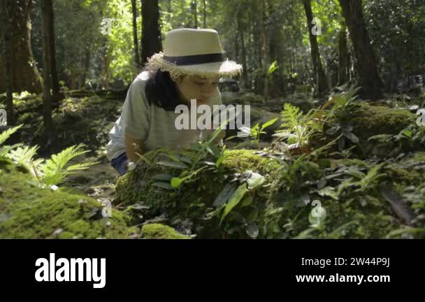 Asian cute girl wearing straw hat sitting and using magnifying glass to see the details of green ...