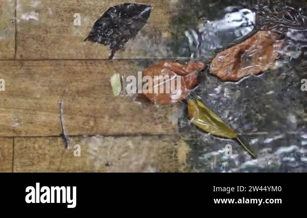 Water puddle on tiles Stock Videos & Footage - HD and 4K Video Clips ...
