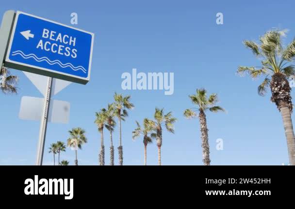 Beach sign and palms in sunny California, USA. Palm trees and seaside ...