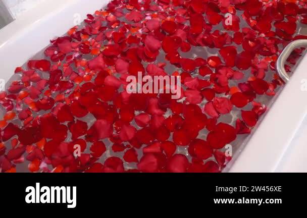 Ready to Take Bath with a lot of Red Rose Petals in a Luxury Hotel ...