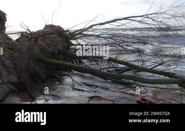 Winter Storm Affects Baltic Sea Coastal Erosion Stock Video Footage - Alamy