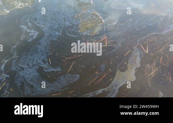 Oil float on water Stock Videos & Footage - HD and 4K Video Clips - Alamy