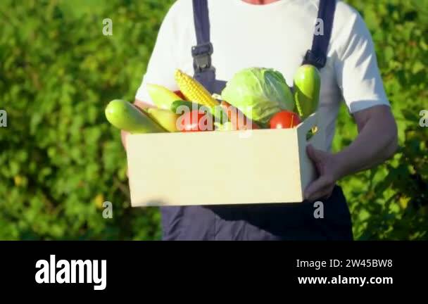 Man with a cornucopia Stock Videos & Footage - HD and 4K Video Clips ...