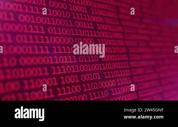 Columns of crimson binary code digital symbols. Futuristic big data ...