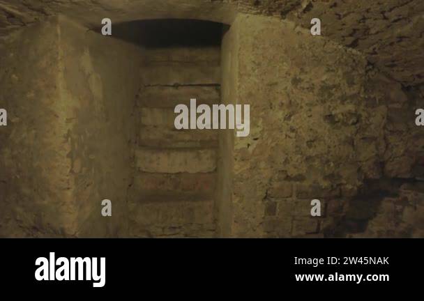 Earth cellar Stock Videos & Footage - HD and 4K Video Clips - Alamy