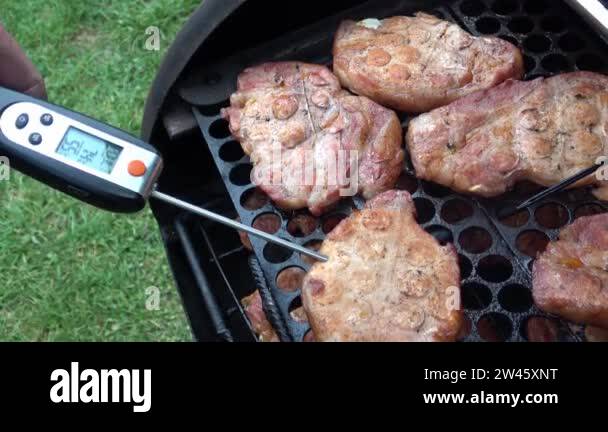 Thermometer food meat temperature Stock Videos & Footage - HD and 4K ...