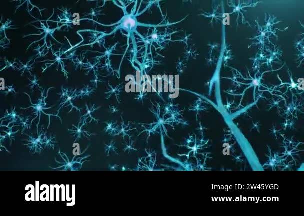 Animation neurons in the brain.Synapse and Neuron cells sending ...