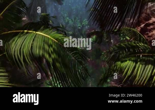 Summer Palm Tree On The Beach is motion footage for documentary films ...