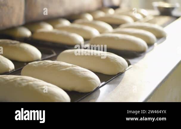 Process of preparing raw loaves of bread and loading them with conveyor ...