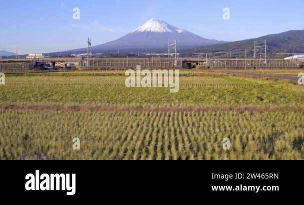 Japan, Honshu, Mount Fuji, Shinkansen Bullet Train passing through harvested rice fields below ...