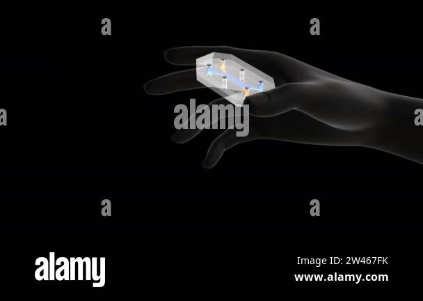 An organ-on-a-chip (OOC) is a multi-channel 3-D microfluidic cell ...